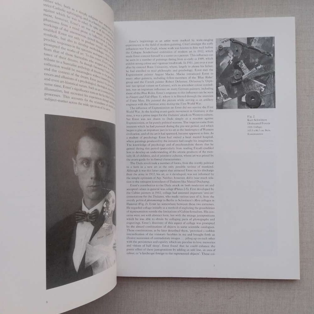 Max Ernst Ian Turpin 2003 | AveLibros